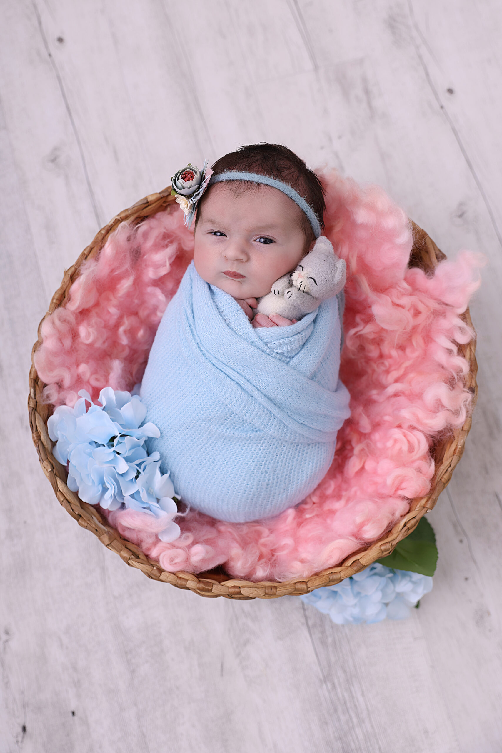 Gallery – Little Cherubs Photography